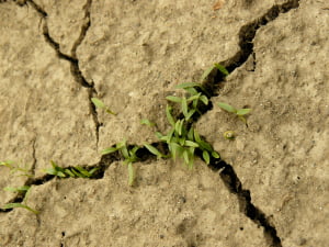 Reactive Soil - Brisbane’s Clay Soil Hotspots, Is Your House at Risk?